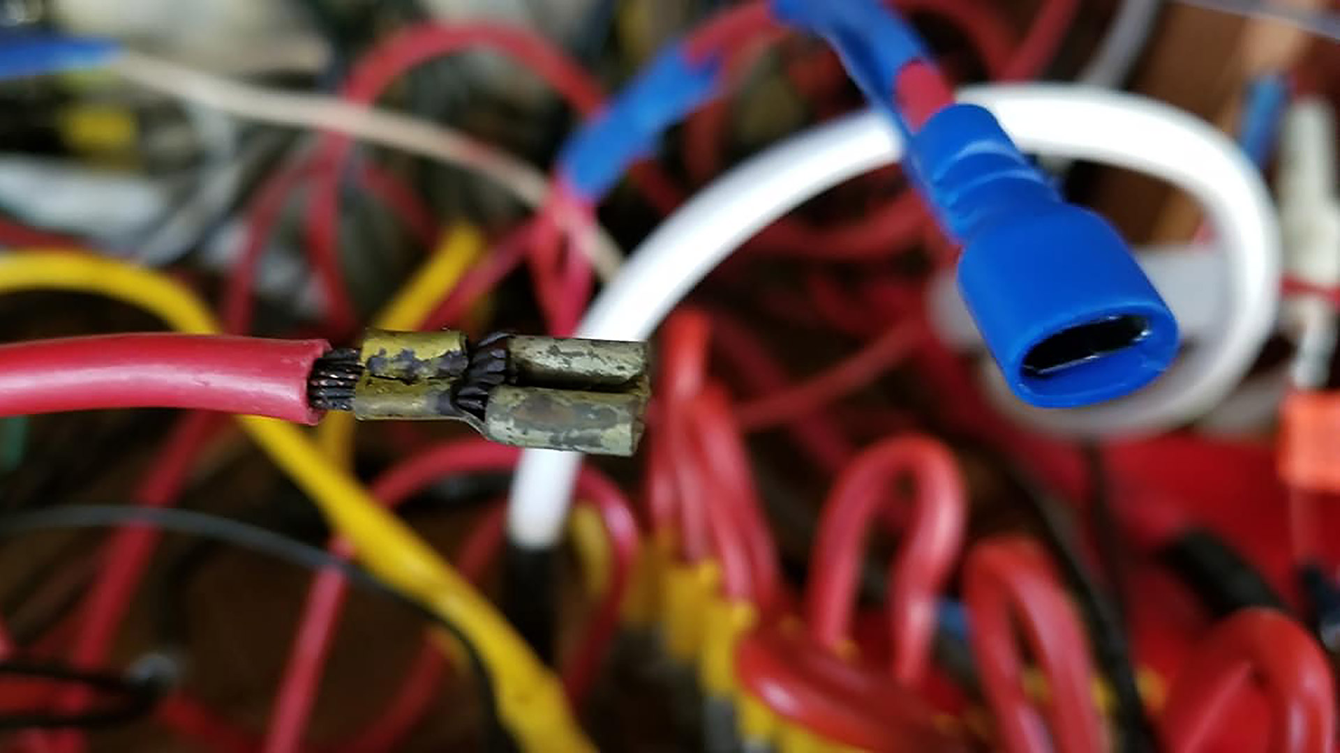 Diesel Deep Dive: Electrical Gremlins in Your Engine Compartment? - 48 ...