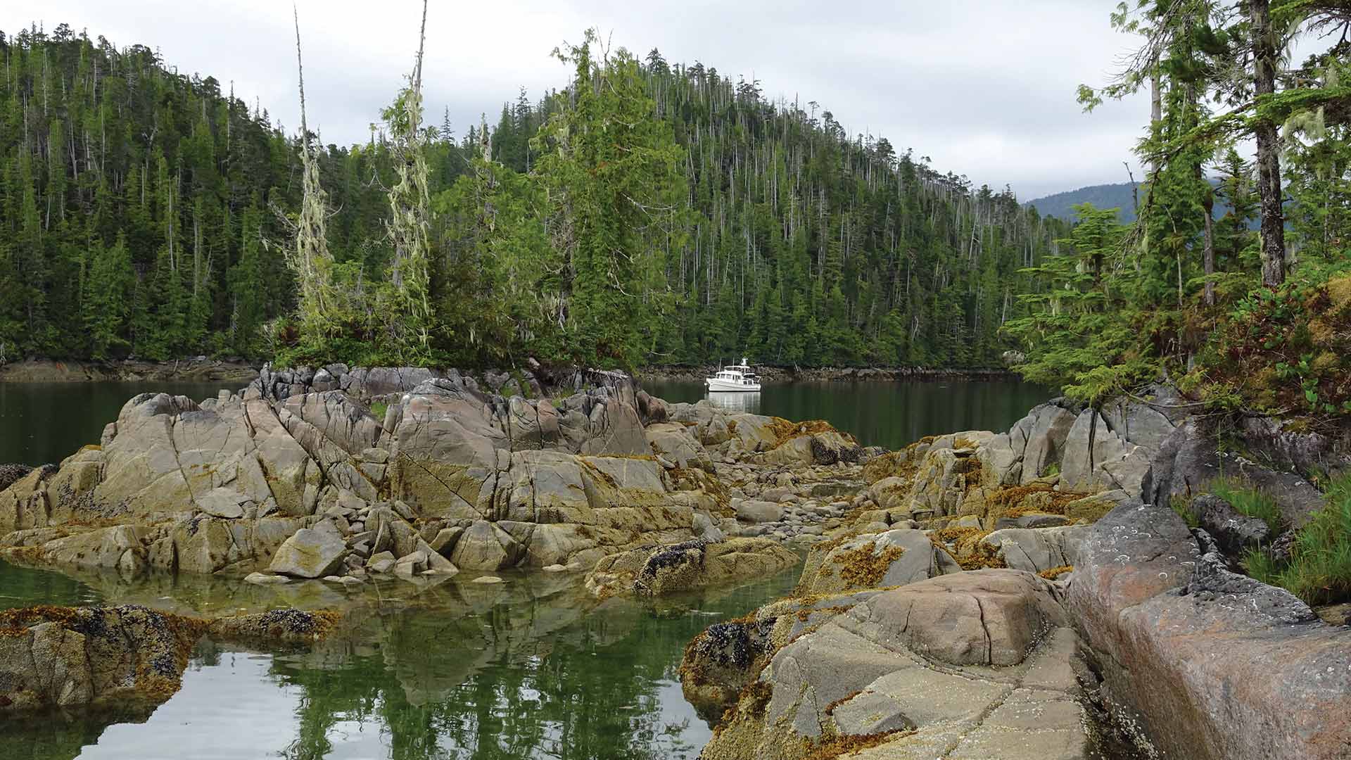#TBT: Cruising the North Coast Wilderness - 48° North