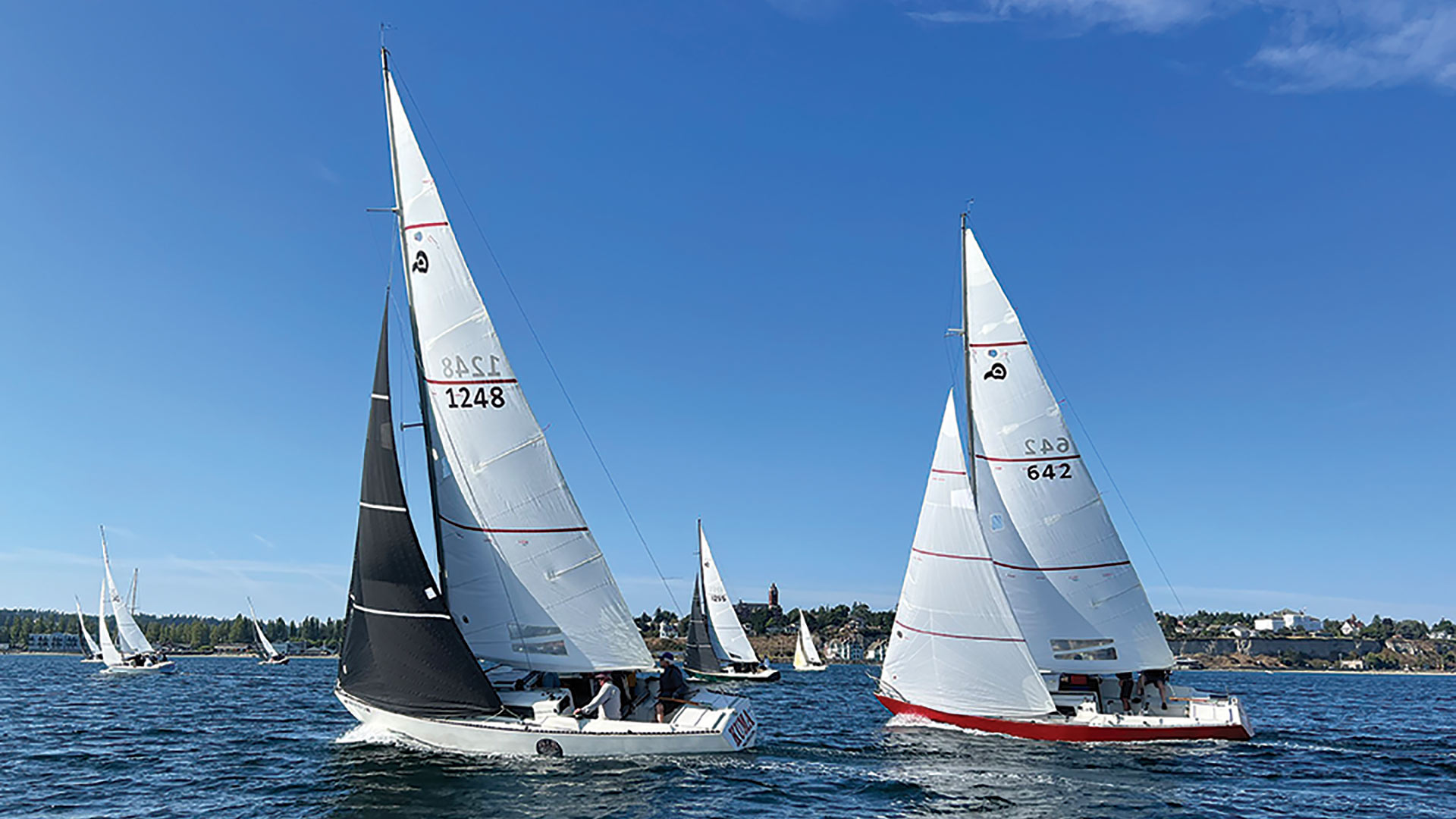 Experiencing the Port Townsend Thunderbird Fleet - 48° North
