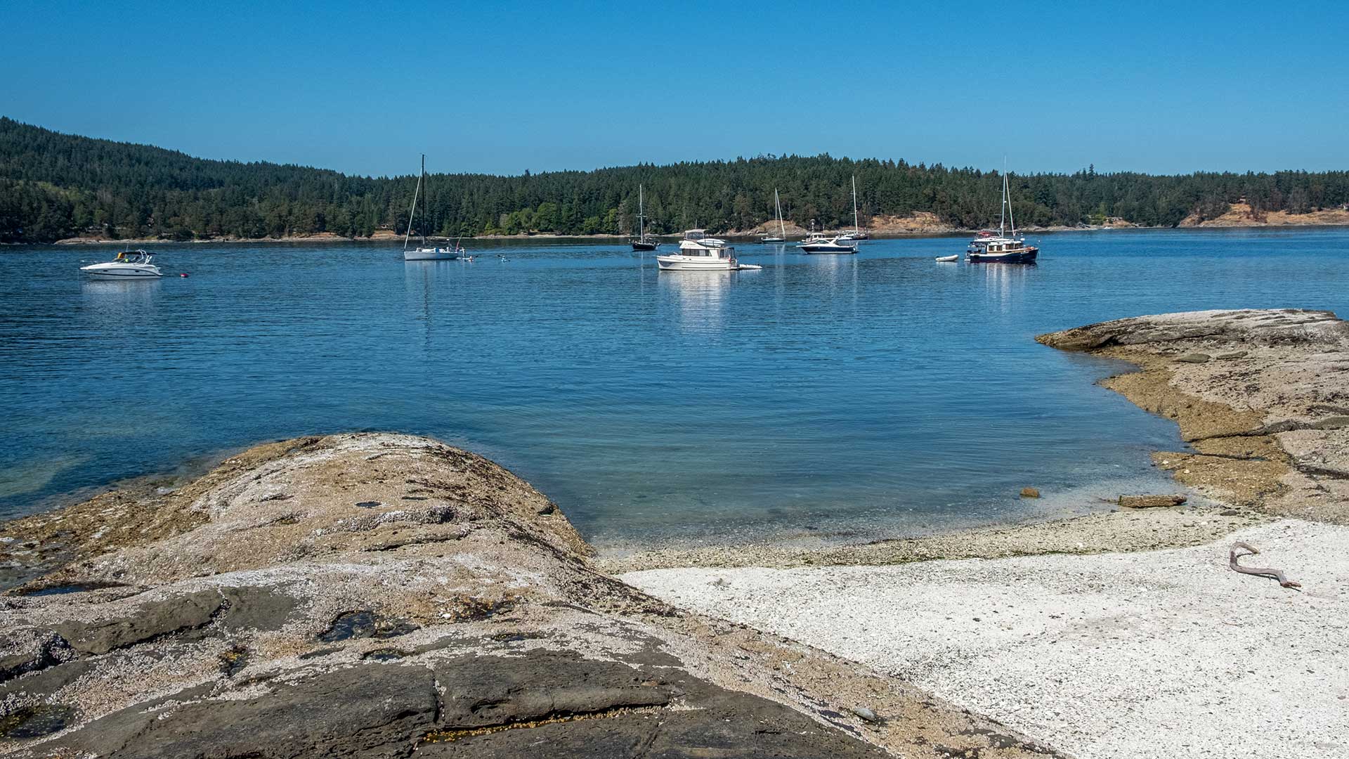 Editor's Letter: Luddite Alert...Simple Boats are Still the Best (For ...