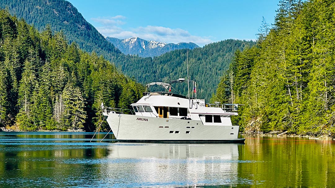 Tech Talk with Sea Bits: Analog in a Digital World - 48° North